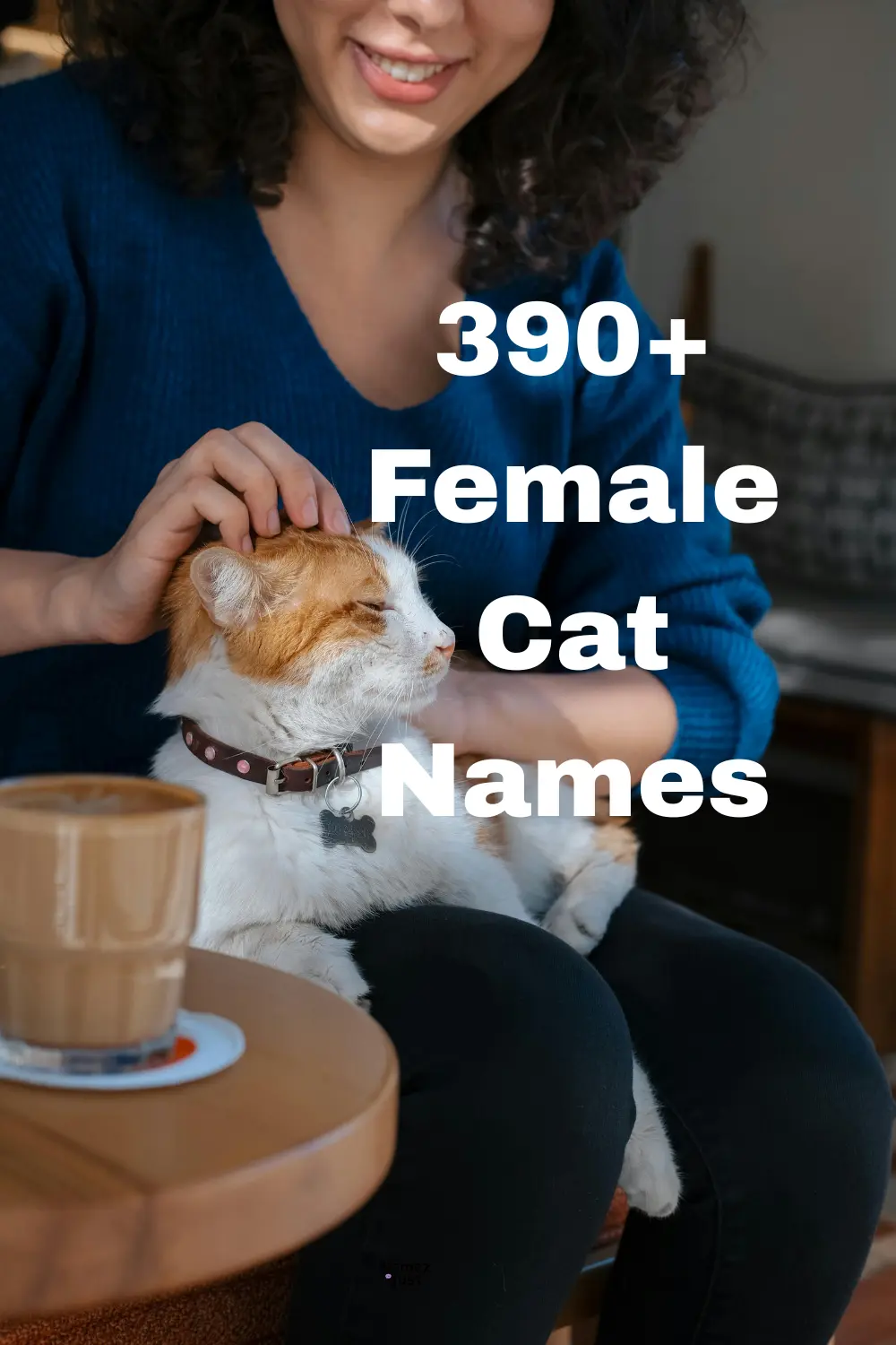 390+ Female Cat Names