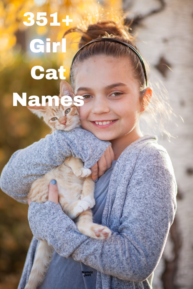 351+ Cat Girl Names