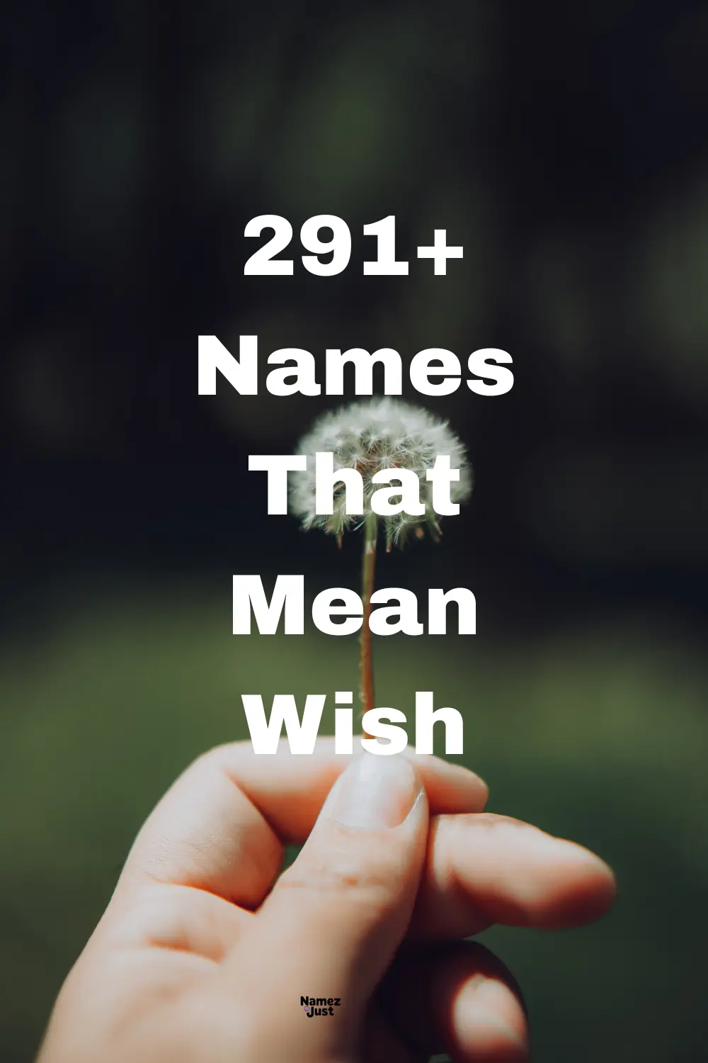291+ Names That Mean Wish
