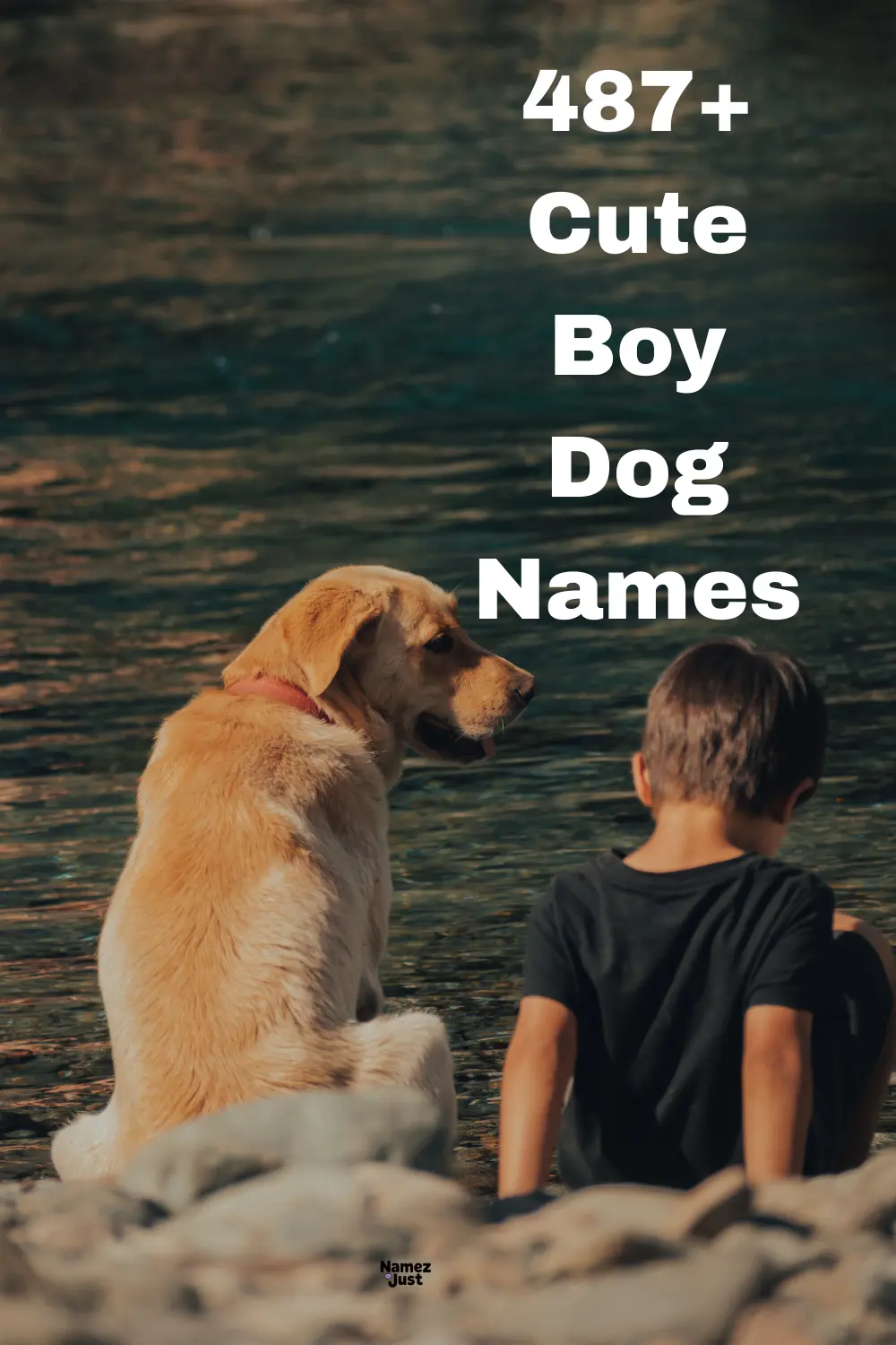 487+ Cute Boy Dog Names – Trending, Fun & Unique 2025 Picks