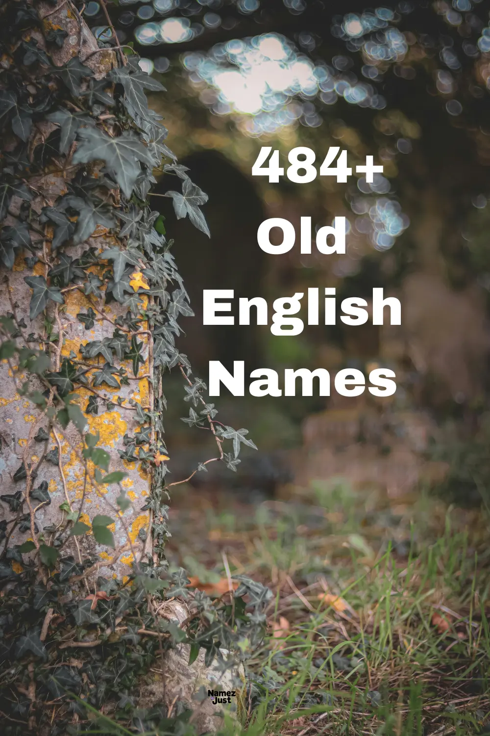 484+ Timeless Old English Names for Babies & Characters