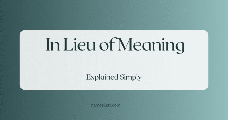 In Lieu of Meaning: Explained Simply
